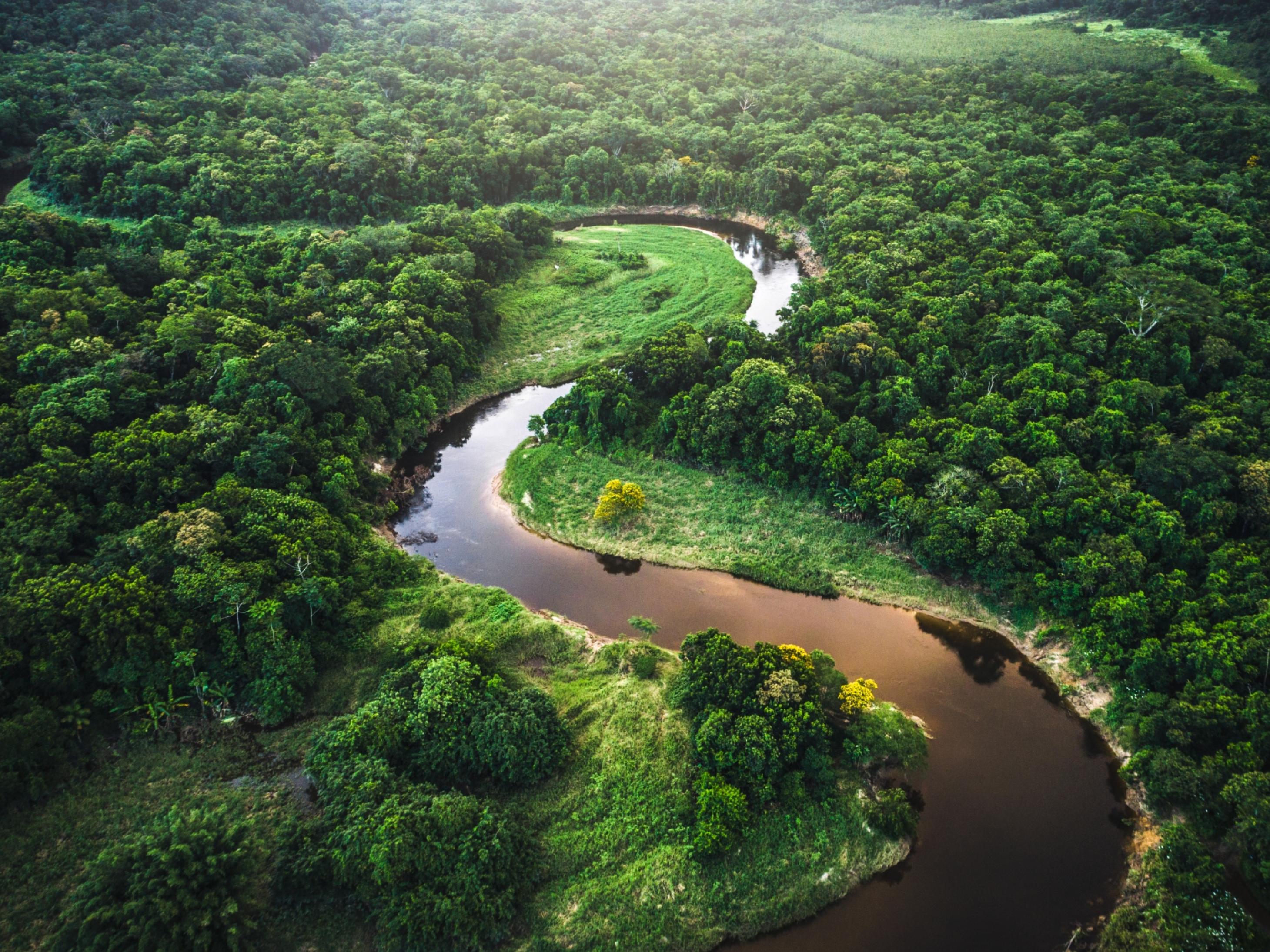The Abbeyleix Bog Project: A model for community-based peatlands ...