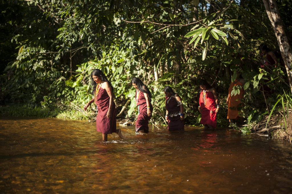 Building Resilience in the Wetlands of Datem del Marañon Province, Peru ...