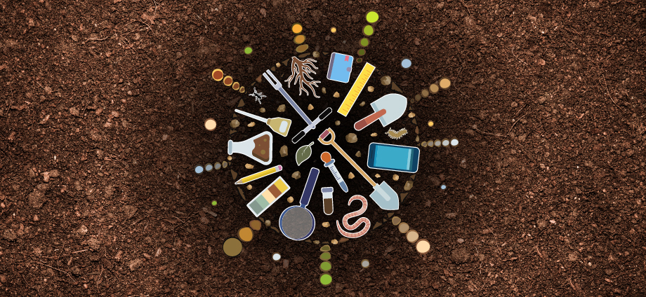 Global Symposium on Soil Information and Data | Global Peatlands Initiative