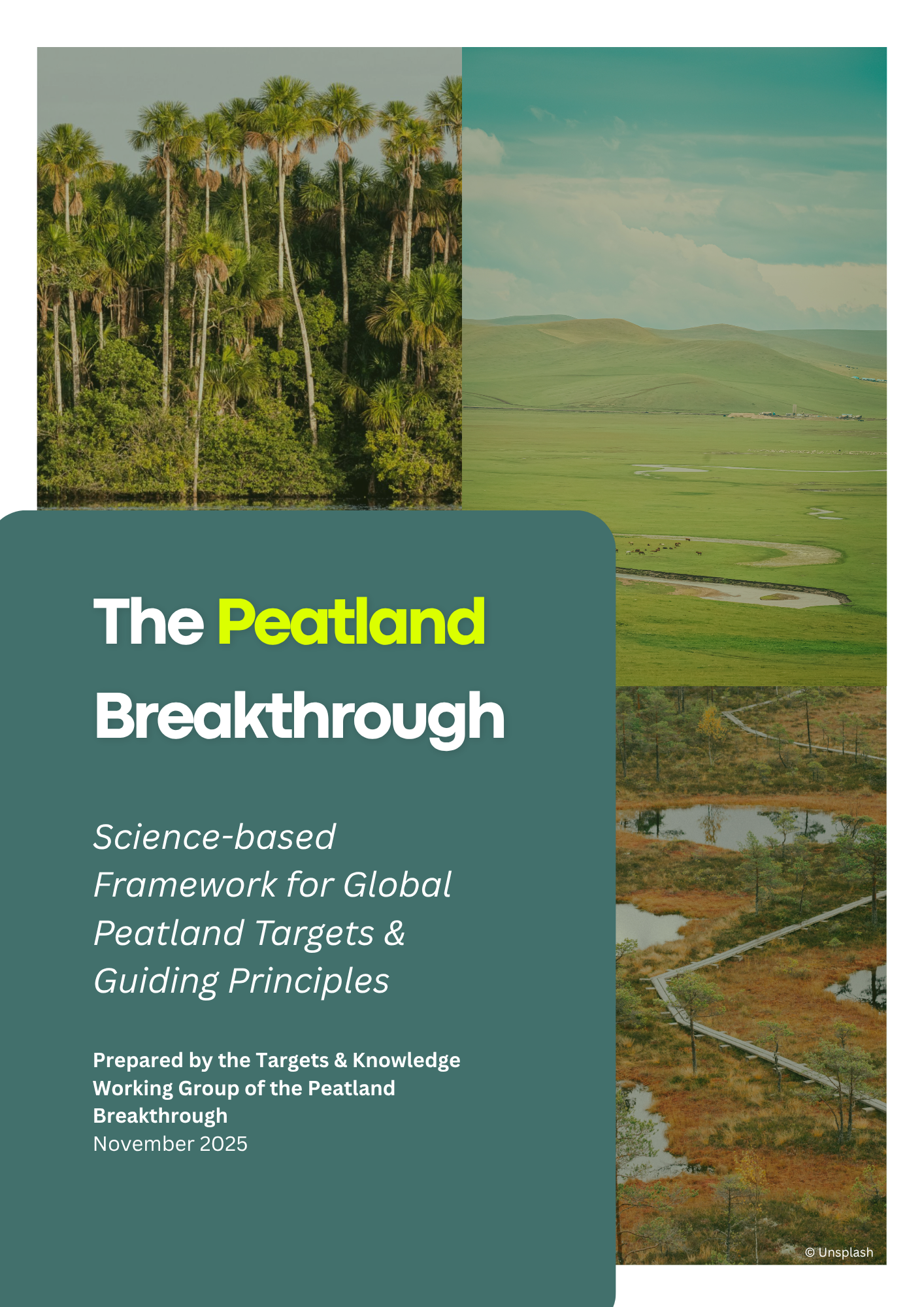 Full Report │ The Peatland Breakthrough Science-based Framework for ...